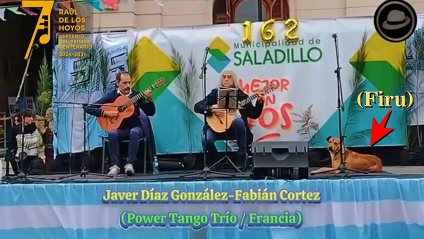 Firulais, el perro municipal que se robó el show en el homenaje a De ...